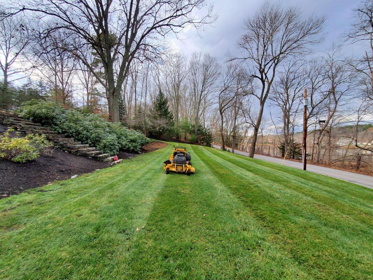 Lawn Maintenance | Woody's Tree Service | Monmouth County, NJ